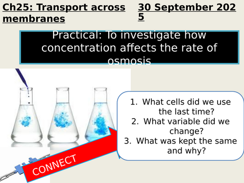 Senior Cycle Biology: 2.6 Practical- the affect of concentration on the ...