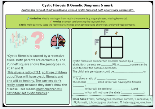 Cystic Fibrosis & Genetic Diagrams – GCSE Biology 6 Mark Exam Question ...