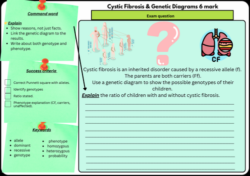 Cystic Fibrosis & Genetic Diagrams – GCSE Biology 6 Mark Exam Question ...