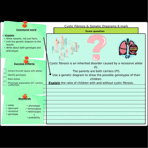 Cystic Fibrosis & Genetic Diagrams – GCSE Biology 6 Mark Exam Question ...