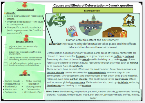 Deforestation – Causes and Environmental Effects GCSE Biology 6 mark ...