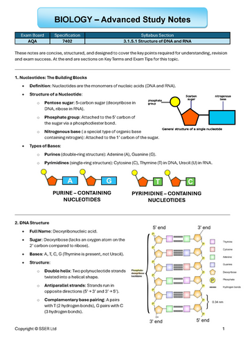 BIOA_AQA Topic Notes: 3.1.5.1 Structure of DNA and RNA | Teaching Resources