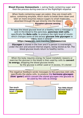 Blood glucose homeostasis PowerPoint - adaptable | Teaching Resources