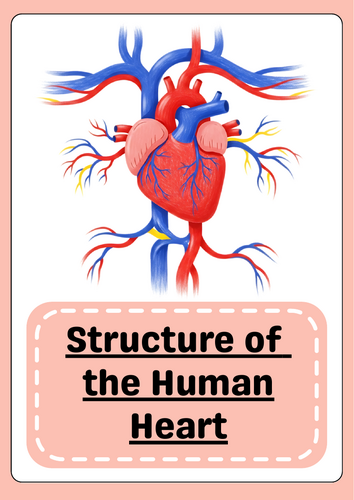 Engaging Science Resource for Grades 5-8: Discover the Fascinating ...