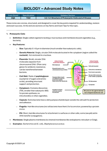 BIOA_AQA Topic Notes: 3.2.1.2 Structure of Prokaryotic Cells and of ...