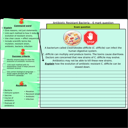 Antibiotic Resistant Bacteria – Biology Paper 2 6 Mark Exam Question ...