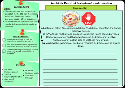 GCSE Biology Paper 1 & Paper 2 – 6 Mark Question MEGA Bundle | 14 ...