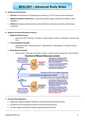 BIOA_AQA Topic Notes: 3.6.4.1 Principles of homeostasis and negative ...