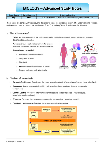 BIOA_AQA Topic Notes: 3.6.4.1 Principles of homeostasis and negative ...