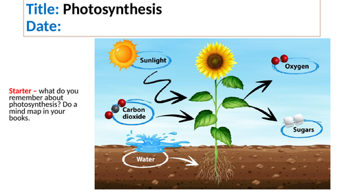 AQA GCSE Biology - Photosynthesis lesson and booklet | Teaching Resources