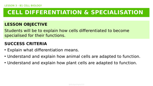 Specialised Cells - Lesson | Teaching Resources