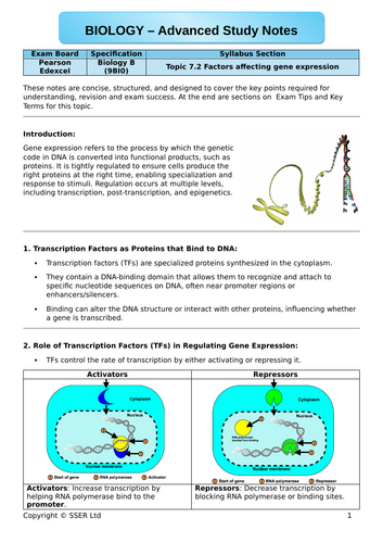 BIOA_EDX Topic Notes: 7.2 Factors affecting gene expression | Teaching ...