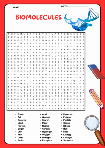 Biomolecules Word Search Puzzle Activity Worksheet | Teaching Resources
