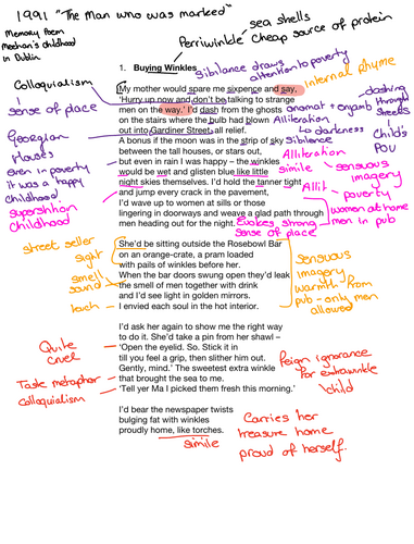 Annotations of Paula Meehan' Poems | Teaching Resources