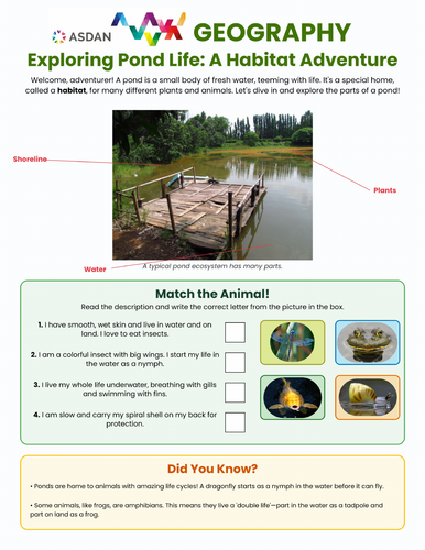 ASDAN Geography - Pond Ecosystems | Teaching Resources