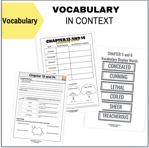 VARJAK PAW Novel Study based on the story by S.F Said | Teaching Resources