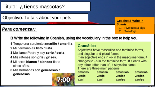 KS3 Spanish Year 7 – ¿Tienes mascotas? | Pets & Animals Lesson ...