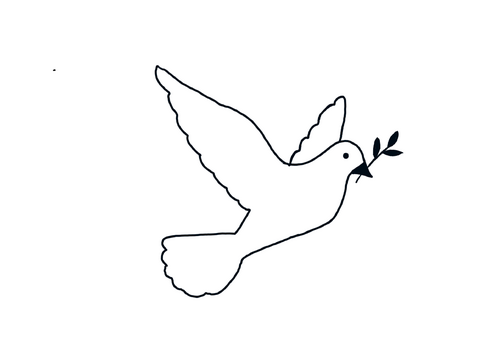 KS3/KS4 Art Lesson: Peace Dove | Teaching Resources