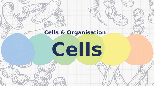 B1 Lesson 1 AQA GCSE Animal and Plant Cells | Teaching Resources