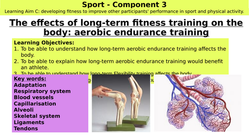 BTEC Tech Award Sport - Component 3 | Teaching Resources