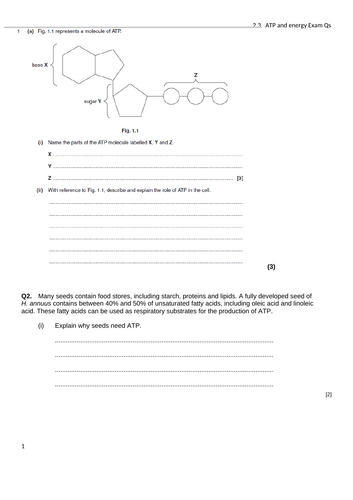 Section 1. Nucleic Acids. 2.3 Energy and ATP NEW AQA Year 12 Biology ...