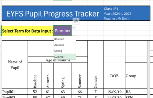 EYFS Pupil Progress Tracker and Reporting | Teaching Resources