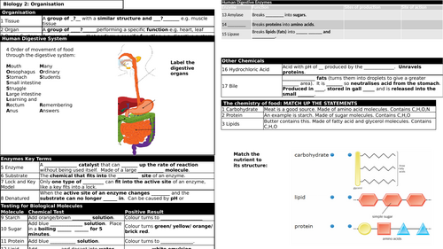 GCSE Biology Digestion revision organiser plus answers B3 | Teaching ...