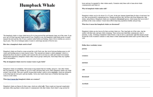 Whales of the World Workbook: Reading Comprehension & Vocabulary (15 ...