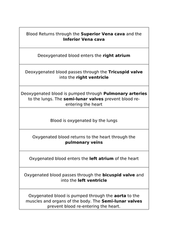 GCSE PE OCR Label of Heart and Pathway of Blood | Teaching Resources