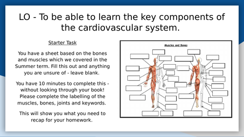 GCSE PE OCR Label of Heart and Pathway of Blood | Teaching Resources