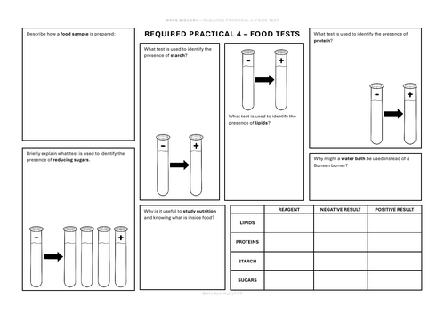 RP4 Food Tests – Splat (GCSE Biology) | Teaching Resources