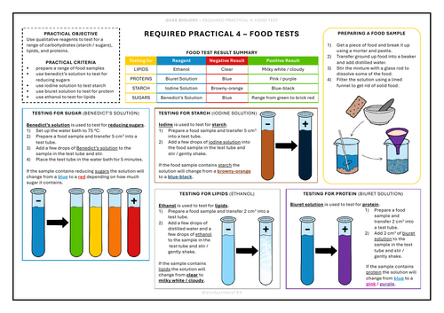 RP4 Food Tests – Summary Mat (GCSE Biology) | Teaching Resources