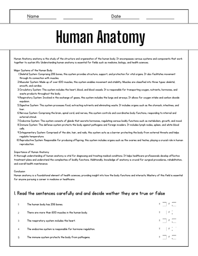 Human Anatomy: Reading Comprehension Passages & Questions Worksheets ...