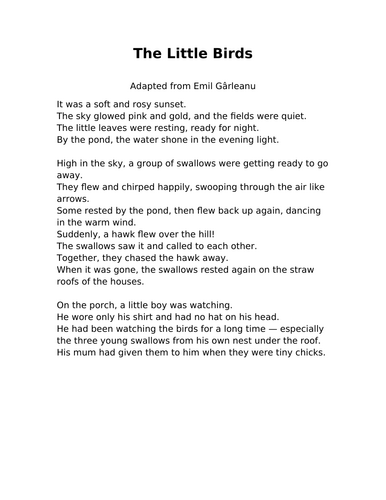 The Little Birds – Illustrated KS1 Story | Teaching Resources