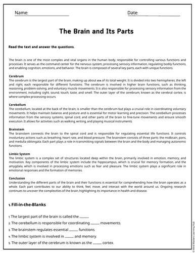 The Brain and Its Parts Reading Comprehension Passages & Questions ...