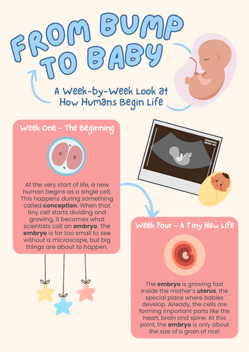 The Human Body Reading Comprehension Pack | Teaching Resources