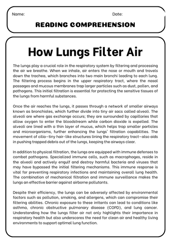 How Lungs Filter Air: Reading Comprehension Passages & Questions ...