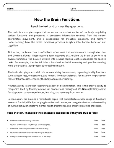 How the Brain Functions: Understanding the Human Mind: Reading ...