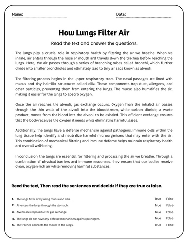 How Lungs Filter Air Reading Comprehension Passages & Questions ...