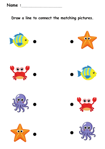 Under the Sea Matching Worksheets | Ocean Animals Activities for ...