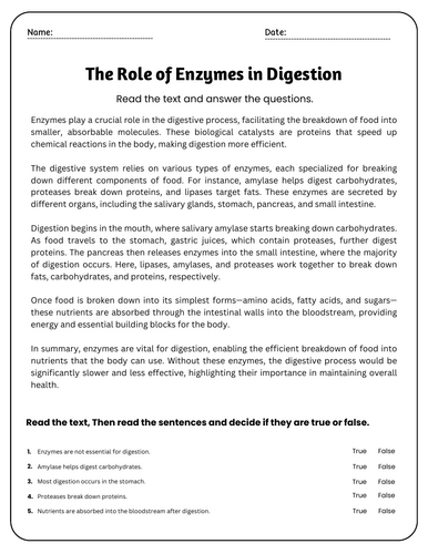 The Role of Enzymes in Digestion Reading Comprehension Passages ...