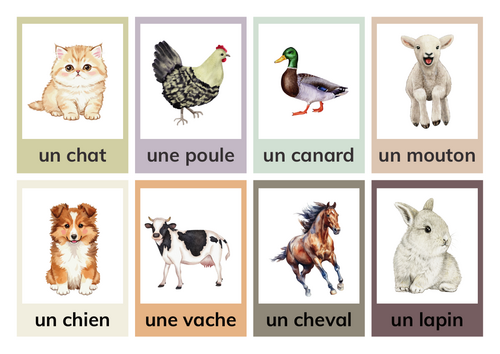 French Farm Animal Vocabulary Flashcards in Colourful Retro Style ...