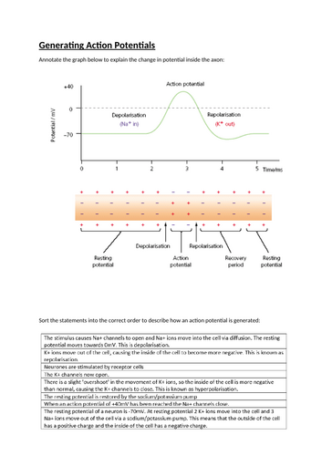 Conduction of Nerve Impulses/Action Potentials- AAQ Applied Science ...