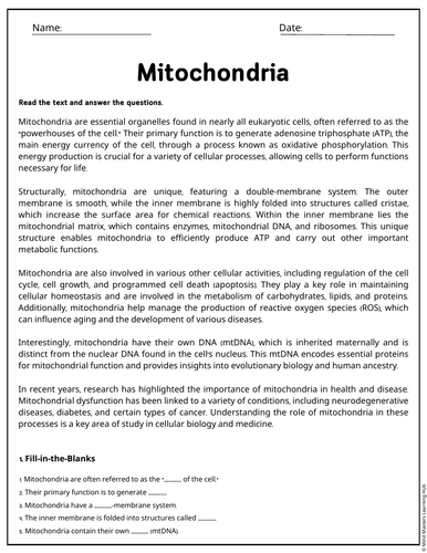 Mitochondria Reading Comprehension Passages & Questions Worksheets ...
