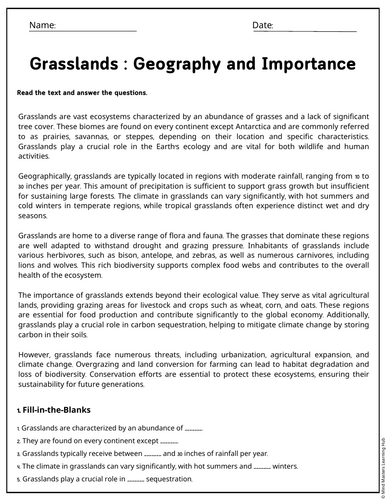 Grasslands: Geography and Importance Reading Comprehension Passages ...
