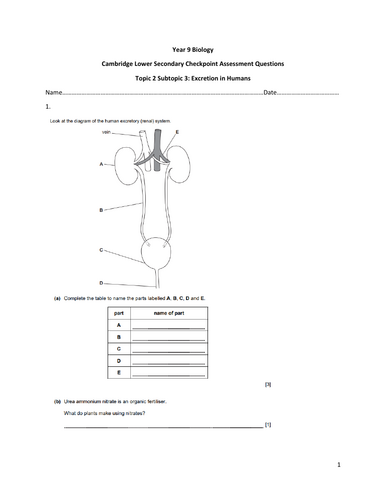 Year 9 Biology Topical Question-Plants and water and excretion in ...