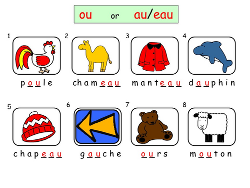 LES SONS PHONÉTIQUES - 12 FRENCH PHONETIC SOUNDS- | Teaching Resources