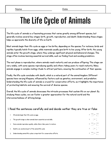 The Life Cycle of Animals: Reading Comprehension Passages & Questions ...