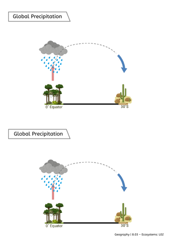 Y8 Ecosystems: Global precipitation | Teaching Resources