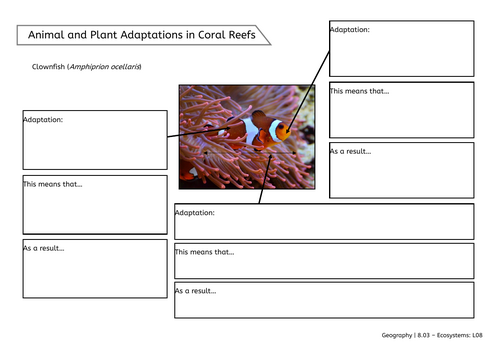 Y8 Ecosystems: Location and features of coral reefs | Teaching Resources